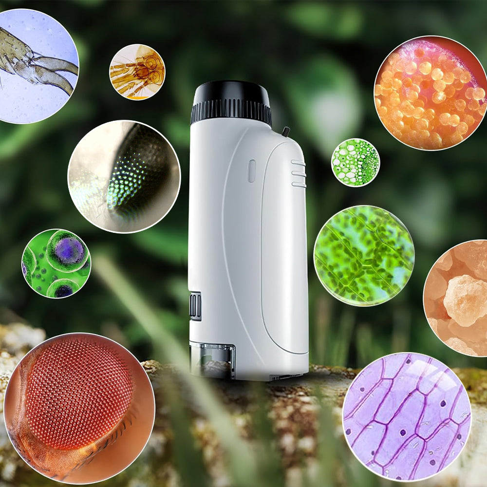 Curio Kids™: Mini Microscope – Curiokids